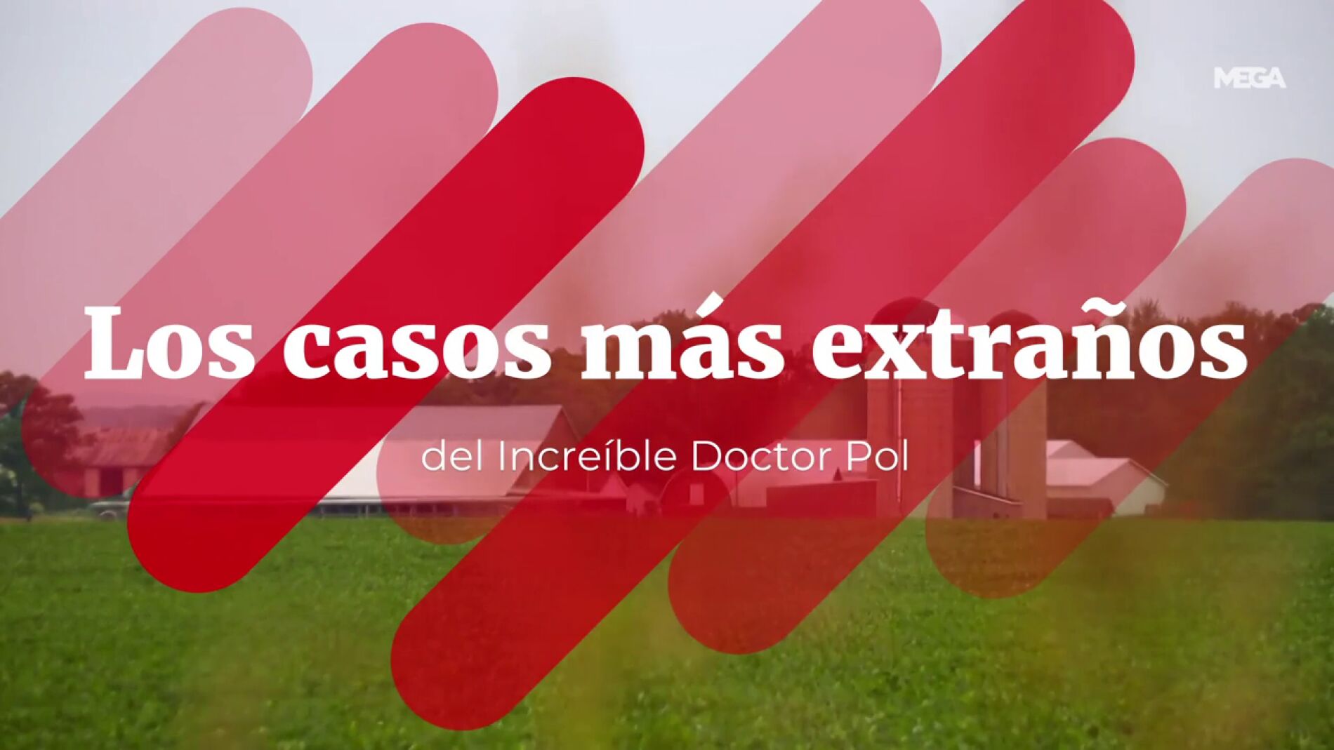 Los casos más extraños a los que se enfrenta el increíble Doctor Pol