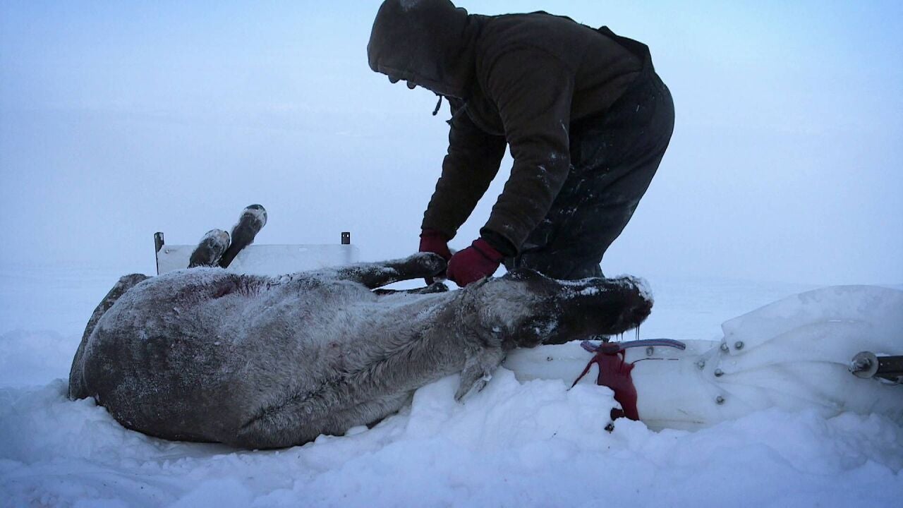 Así es como Andy Bassich caza un caribú en Alaska