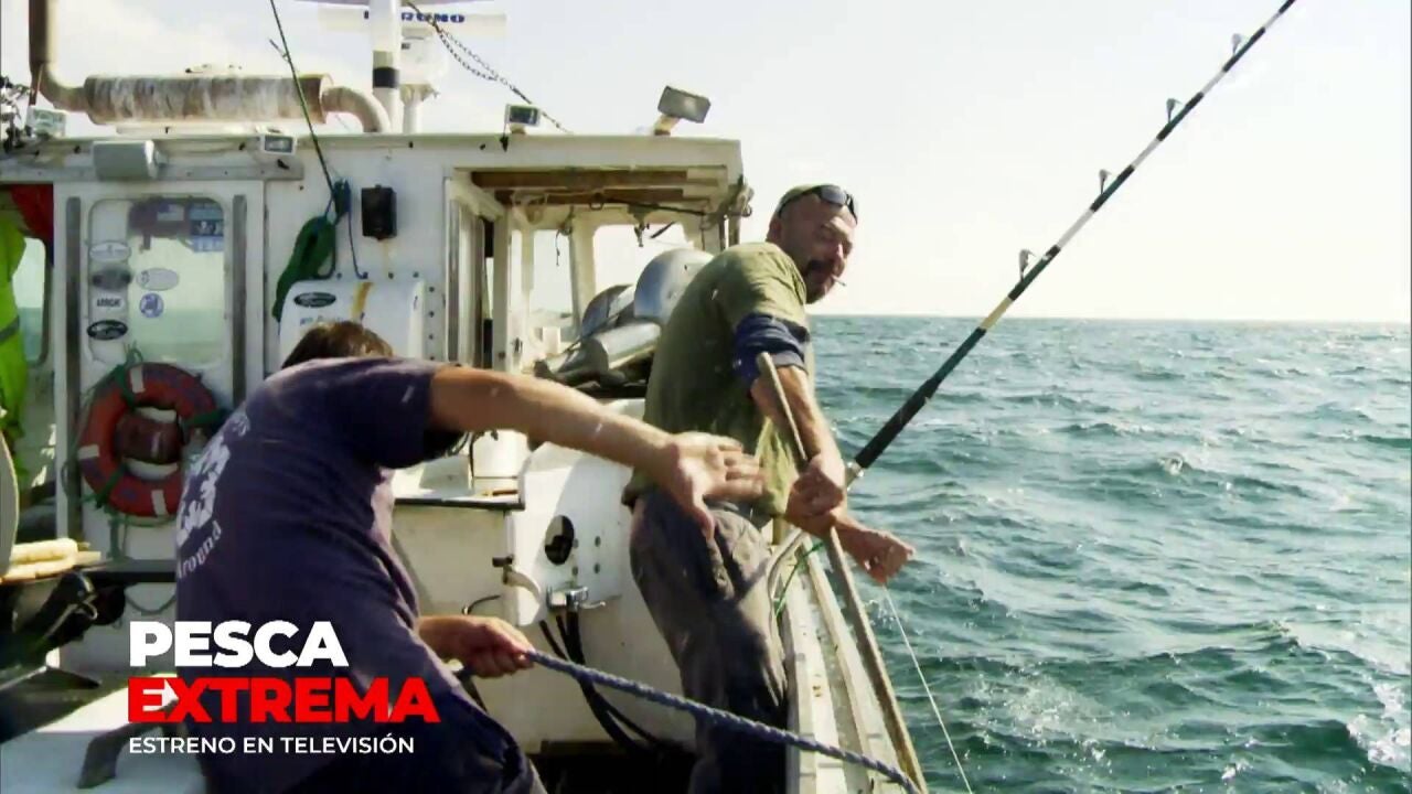 Mega y los canales temáticos de Atresmedia siguen ofreciéndote lo mejor ...