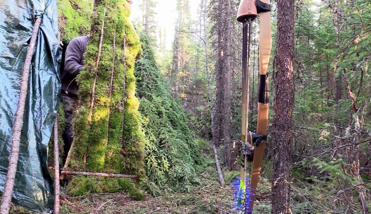 Series, programas, deportes y entretenimiento