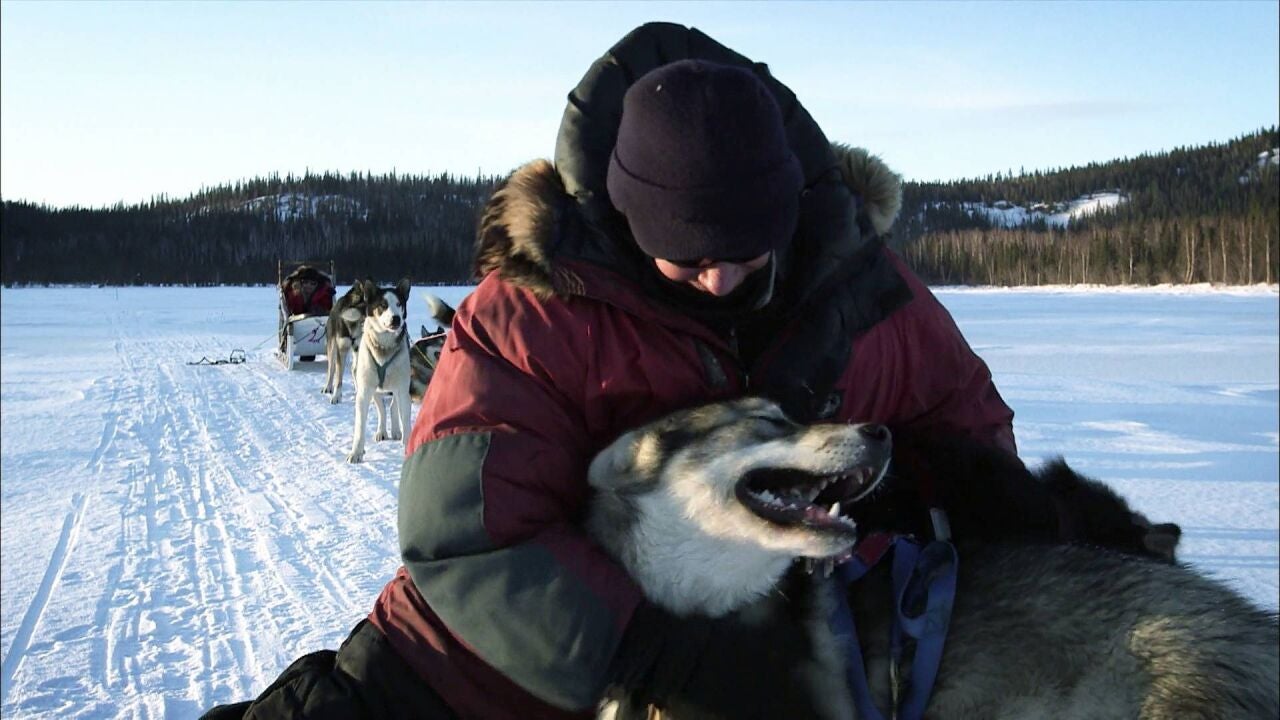 Así es como Kate y Andy adiestran a sus perros de trineo en Alaska